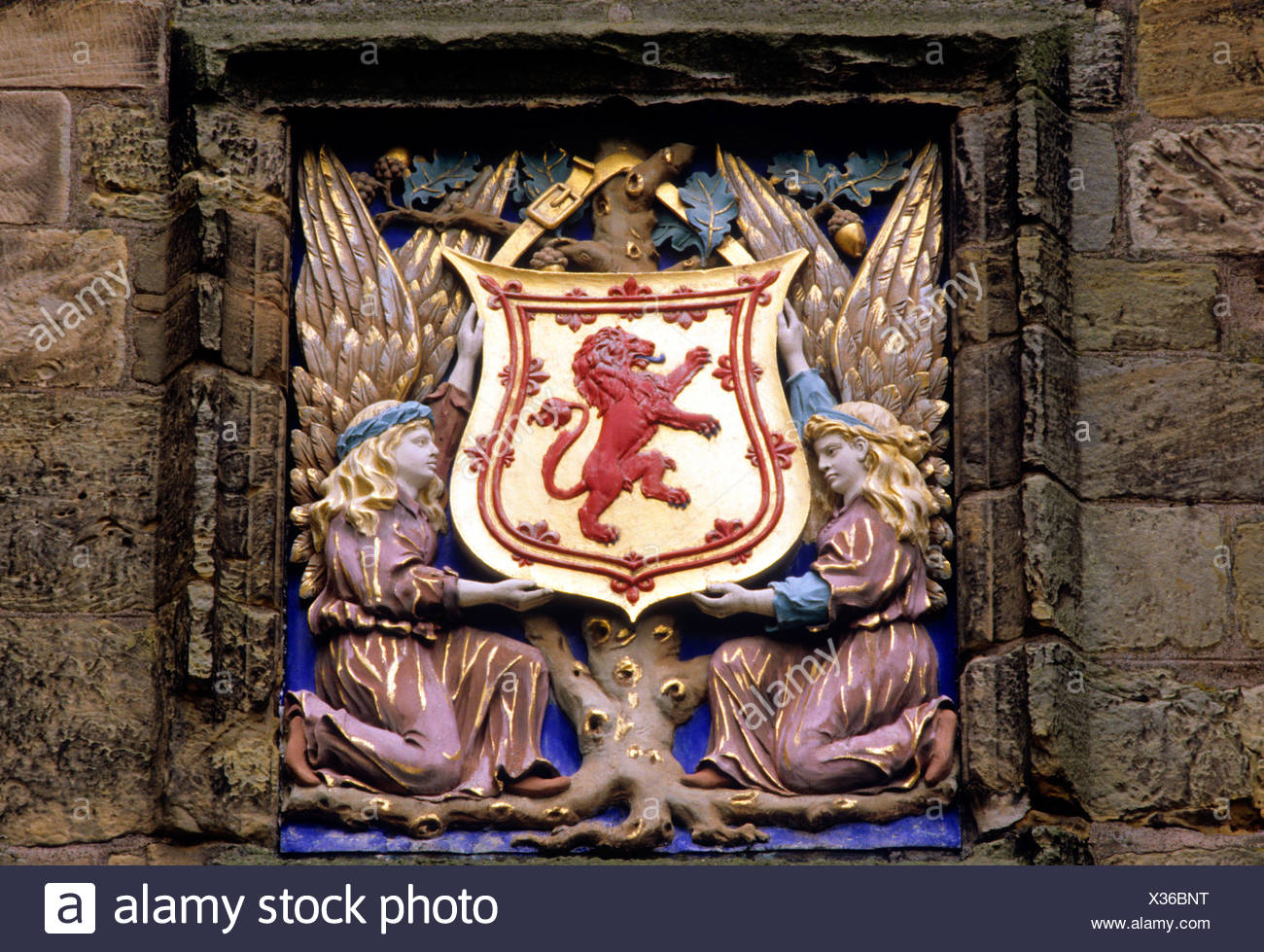 Lion Rampant Coat Of Arms High Resolution Stock Photography and Images ...