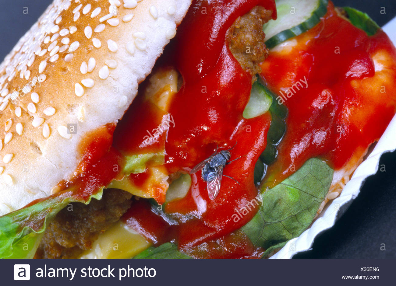 Fly Feeding Food Hygiene High Resolution Stock Photography and Images ...