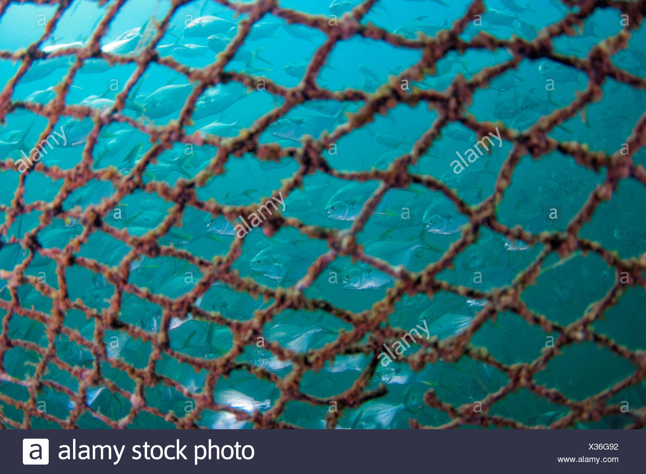 Giant Fishing Nets High Resolution Stock Photography and Images - Alamy