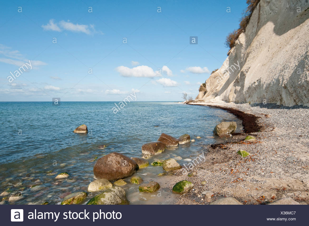 White Cliffs Of Moen High Resolution Stock Photography and Images - Alamy