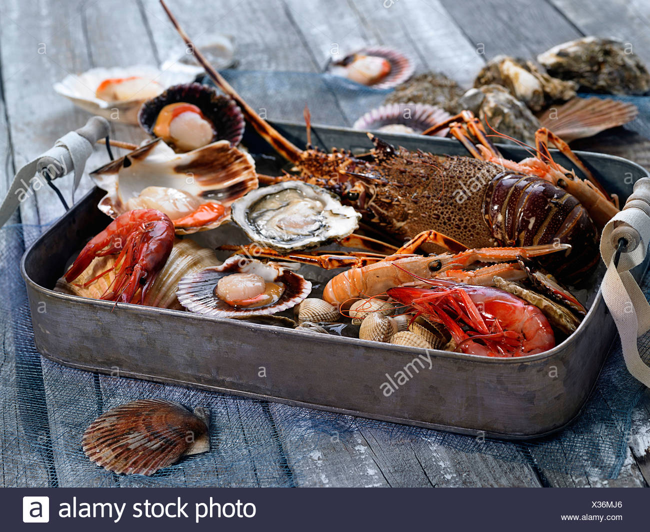 Shellfish Assortment High Resolution Stock Photography and Images - Alamy