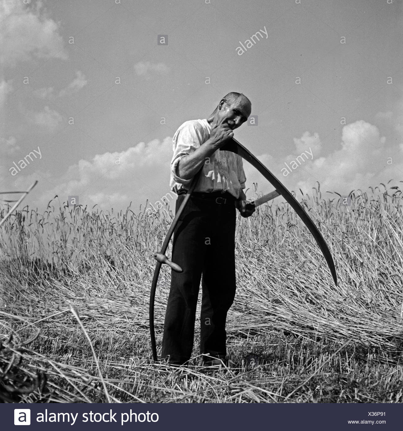 Scythe Harvest Black and White Stock Photos & Images - Alamy