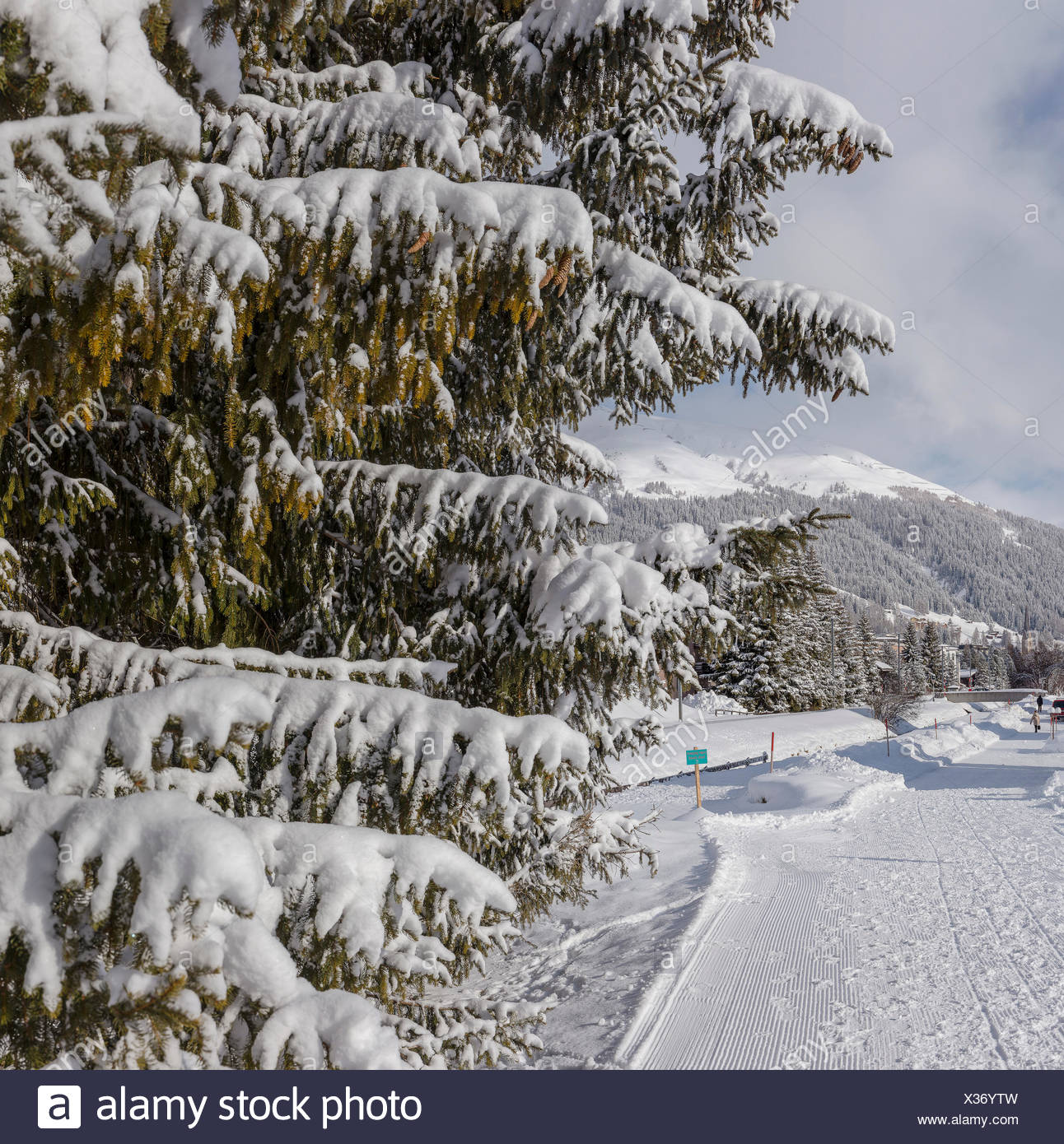 Sertig Dorfli High Resolution Stock Photography and Images - Alamy