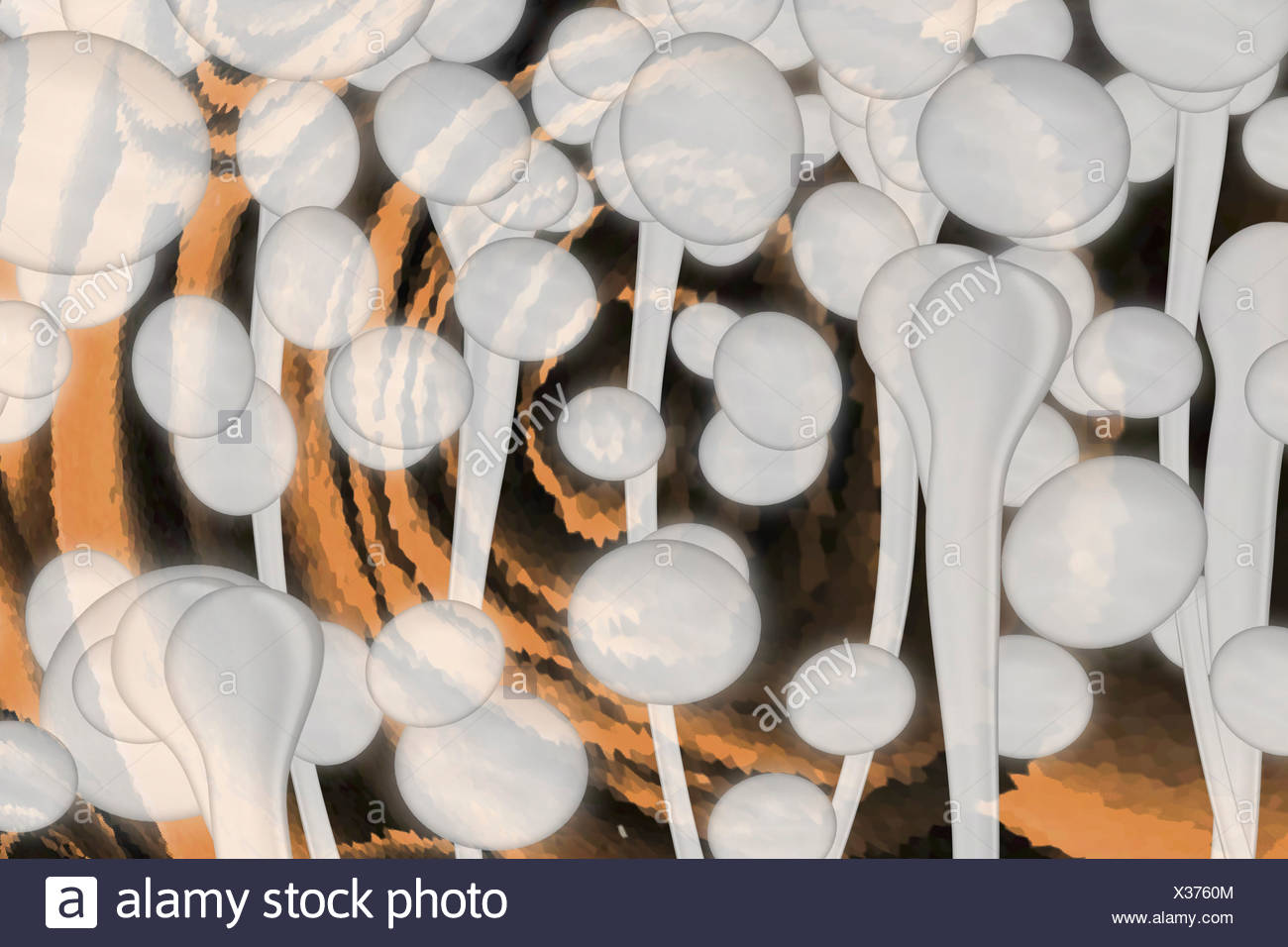 Yeast Cells Fungal Illustration High Resolution Stock Photography and ...