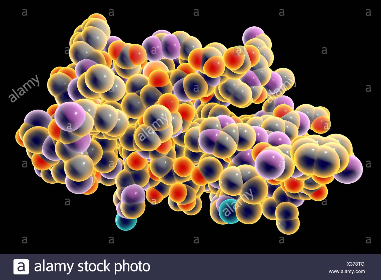 Blood Regulation High Resolution Stock Photography and Images - Alamy