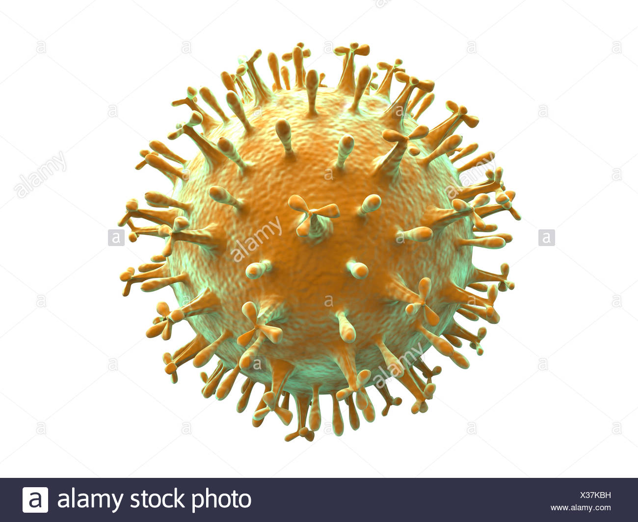 Common Cold Virus High Resolution Stock Photography and Images - Alamy