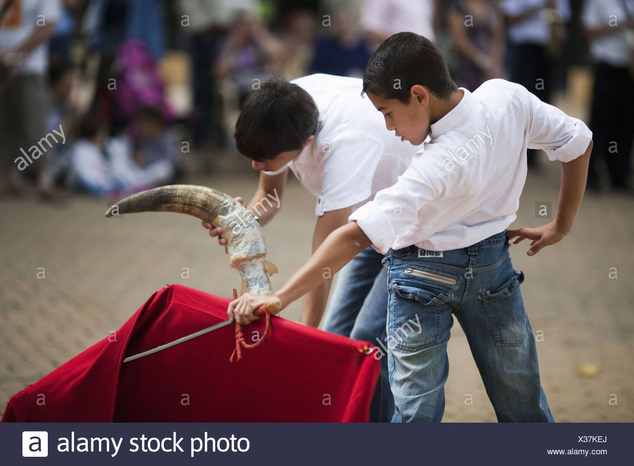 Fake Bull High Resolution Stock Photography and Images - Alamy