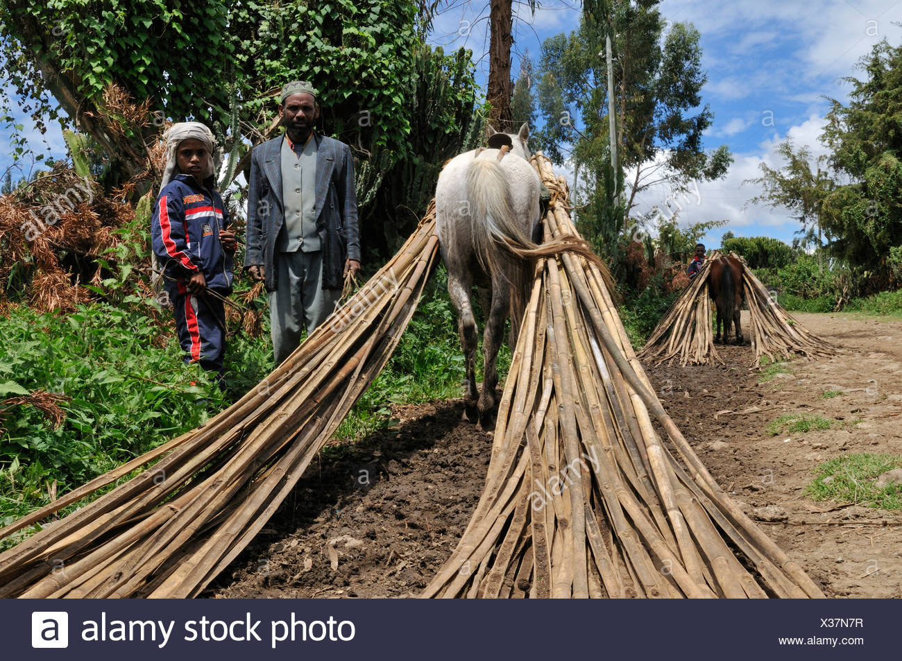 Dodola High Resolution Stock Photography and Images - Alamy