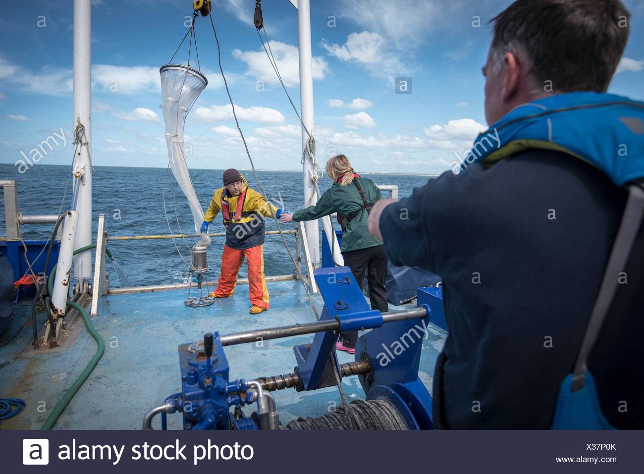 Marine Biologist High Resolution Stock Photography and Images - Alamy