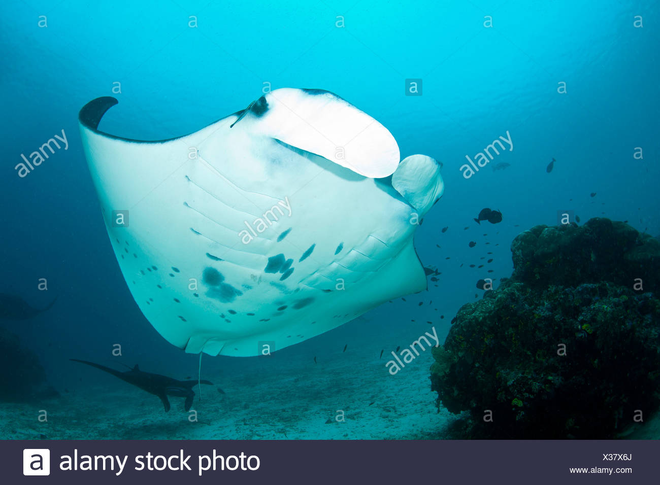 Raja Ampat High Resolution Stock Photography and Images - Alamy