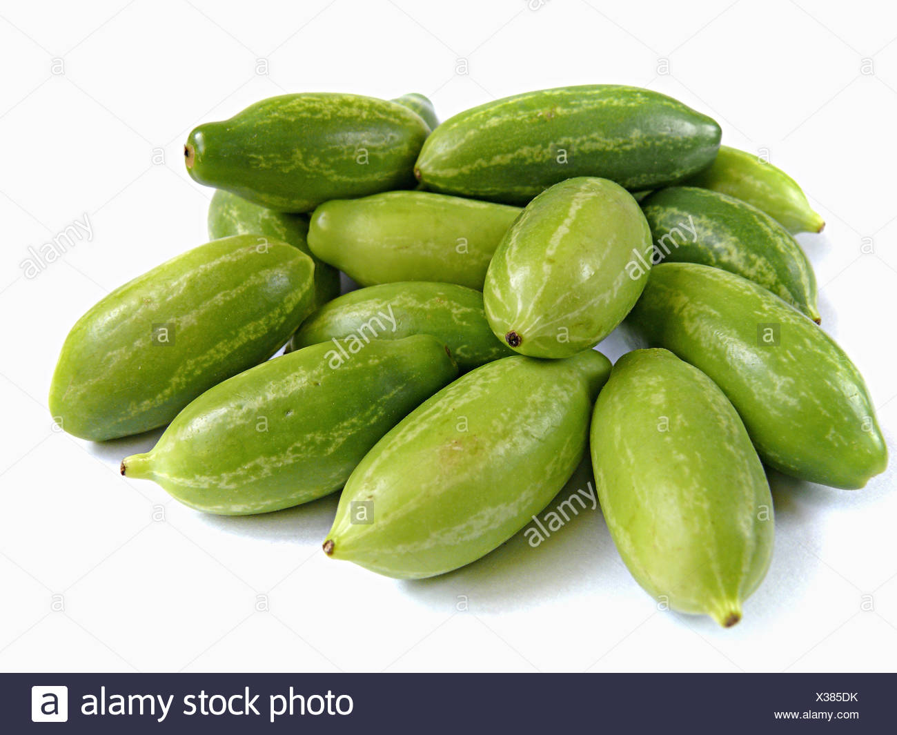 Indian Tindora High Resolution Stock Photography and Images - Alamy