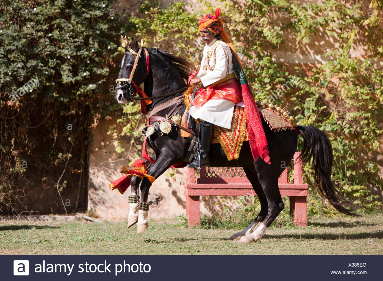 Marwari Horse Rider High Resolution Stock Photography and Images - Alamy