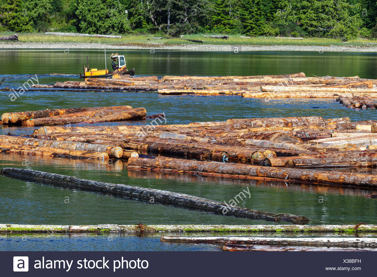 Logs Floating In Water High Resolution Stock Photography and Images - Alamy