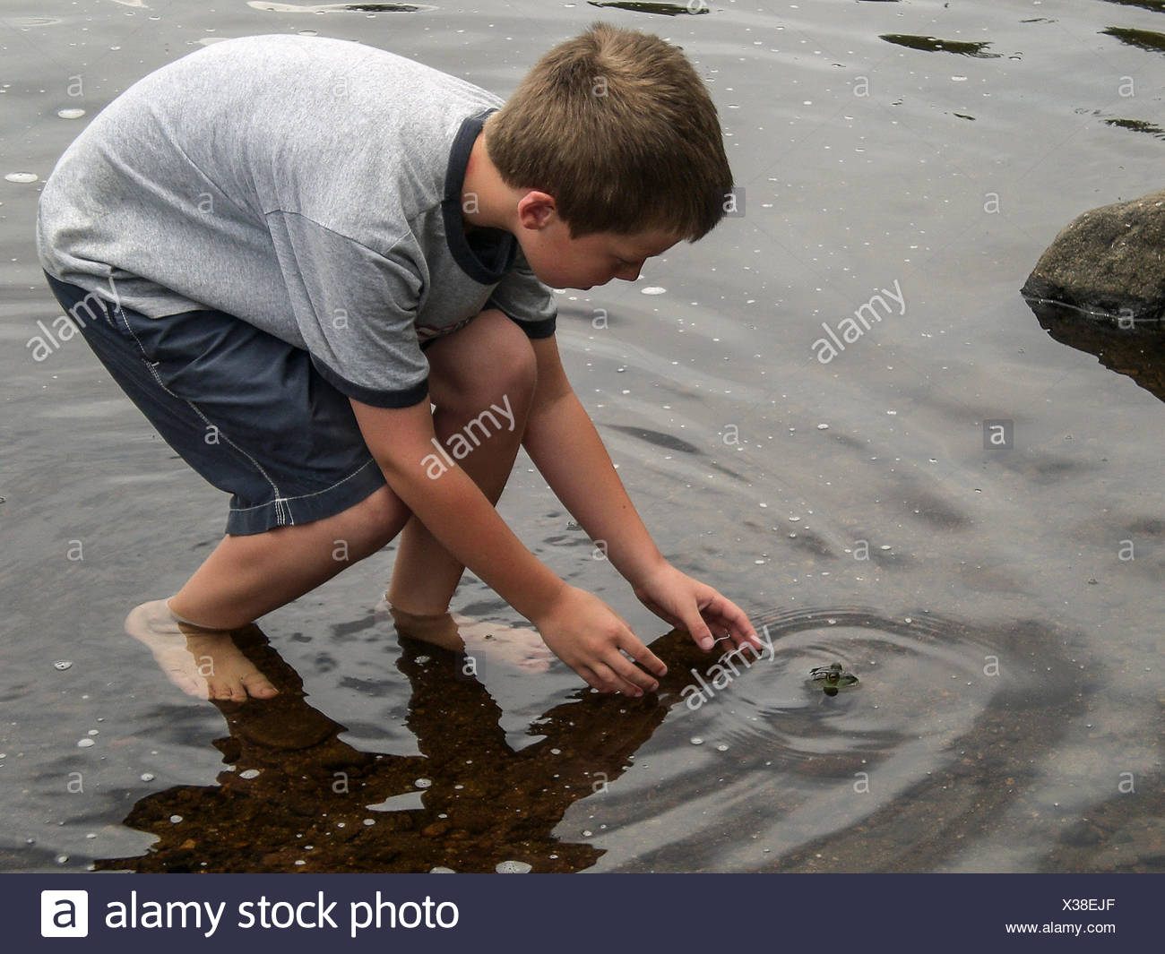 Boy With Frog High Resolution Stock Photography and Images - Alamy