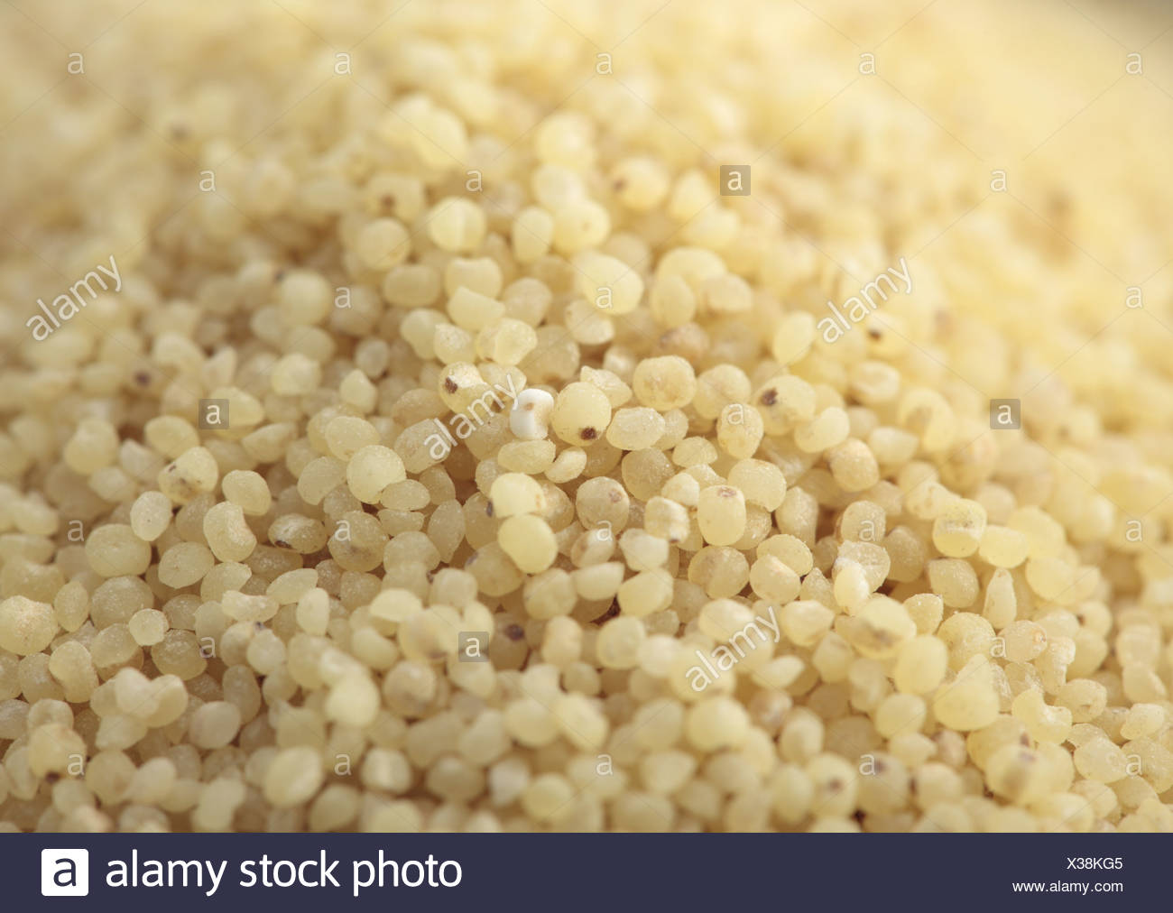 Japanese Barnyard Millet High Resolution Stock Photography and Images ...