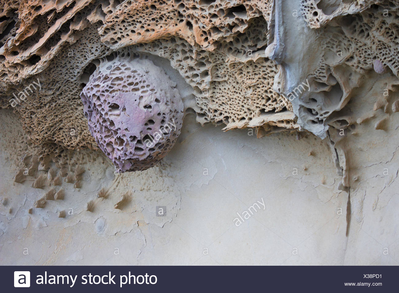 Honeycomb Weathering Stock Photos & Honeycomb Weathering Stock Images ...