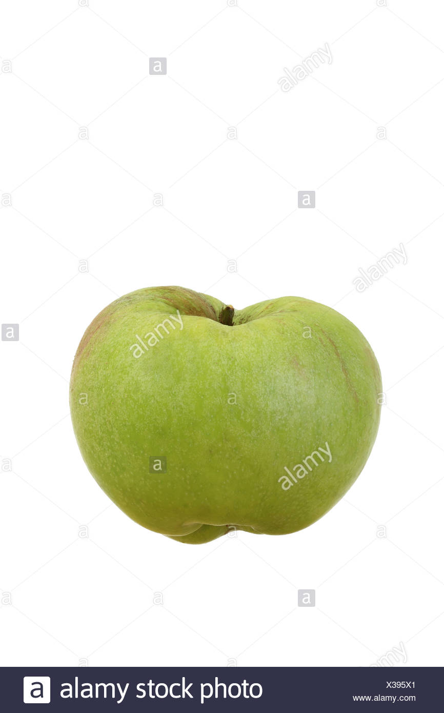 Signe Tillisch High Resolution Stock Photography and Images - Alamy