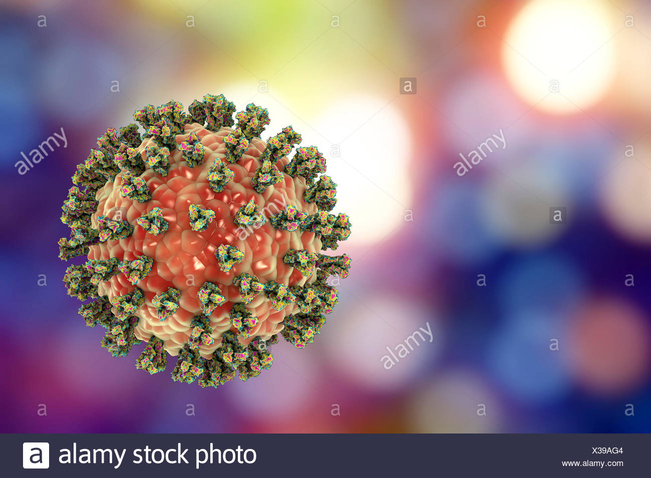 Human Parainfluenza Virus Hpiv Stock Photos & Human Parainfluenza Virus Hpiv Stock Images - Alamy