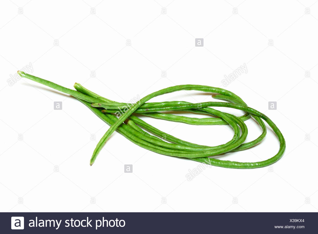 Cowpea High Resolution Stock Photography and Images - Alamy
