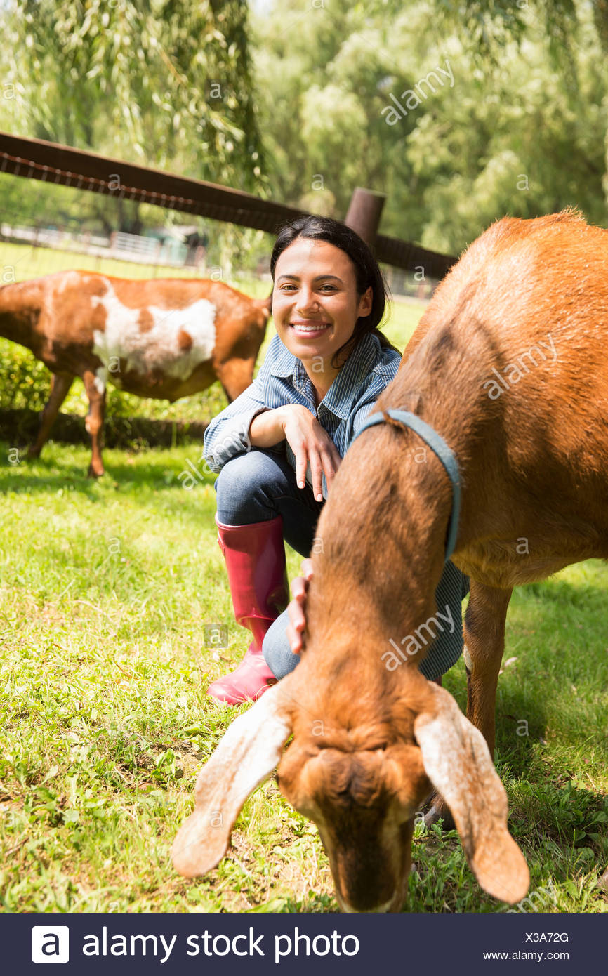 Goat Race High Resolution Stock Photography and Images - Alamy