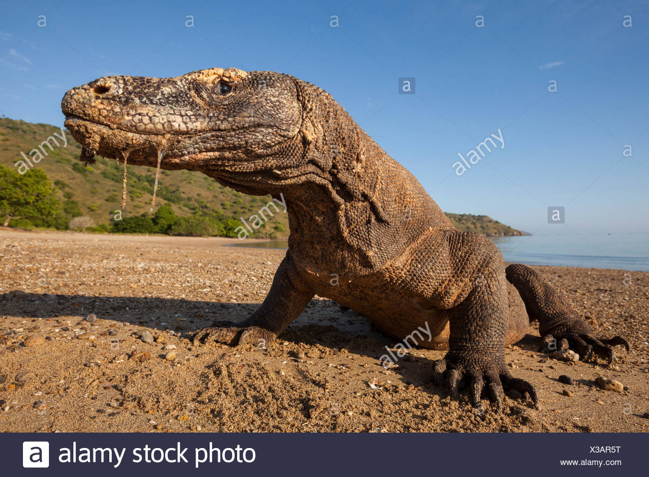 Dragon Beach High Resolution Stock Photography and Images - Alamy