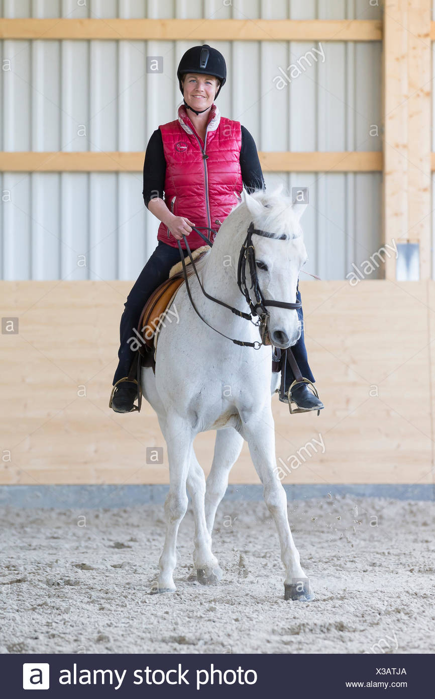 Half Human Half Horse High Resolution Stock Photography and Images - Alamy