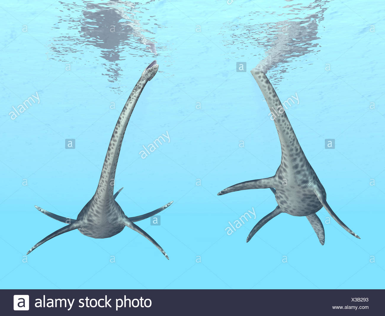 Plesiosaurier Stock Photos & Plesiosaurier Stock Images - Alamy
