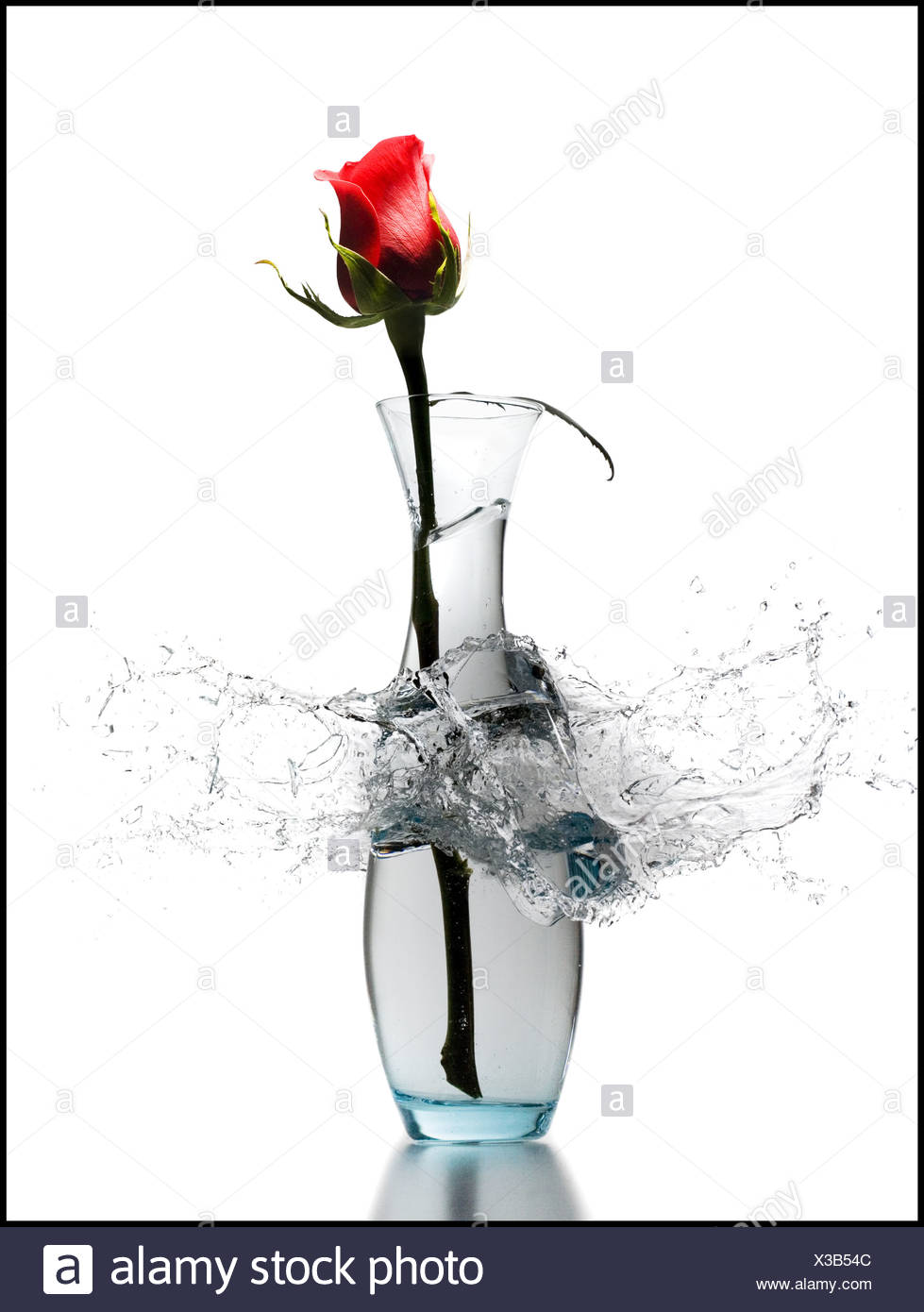 Broken Vase Flower Stock Photos & Broken Vase Flower Stock Images - Alamy