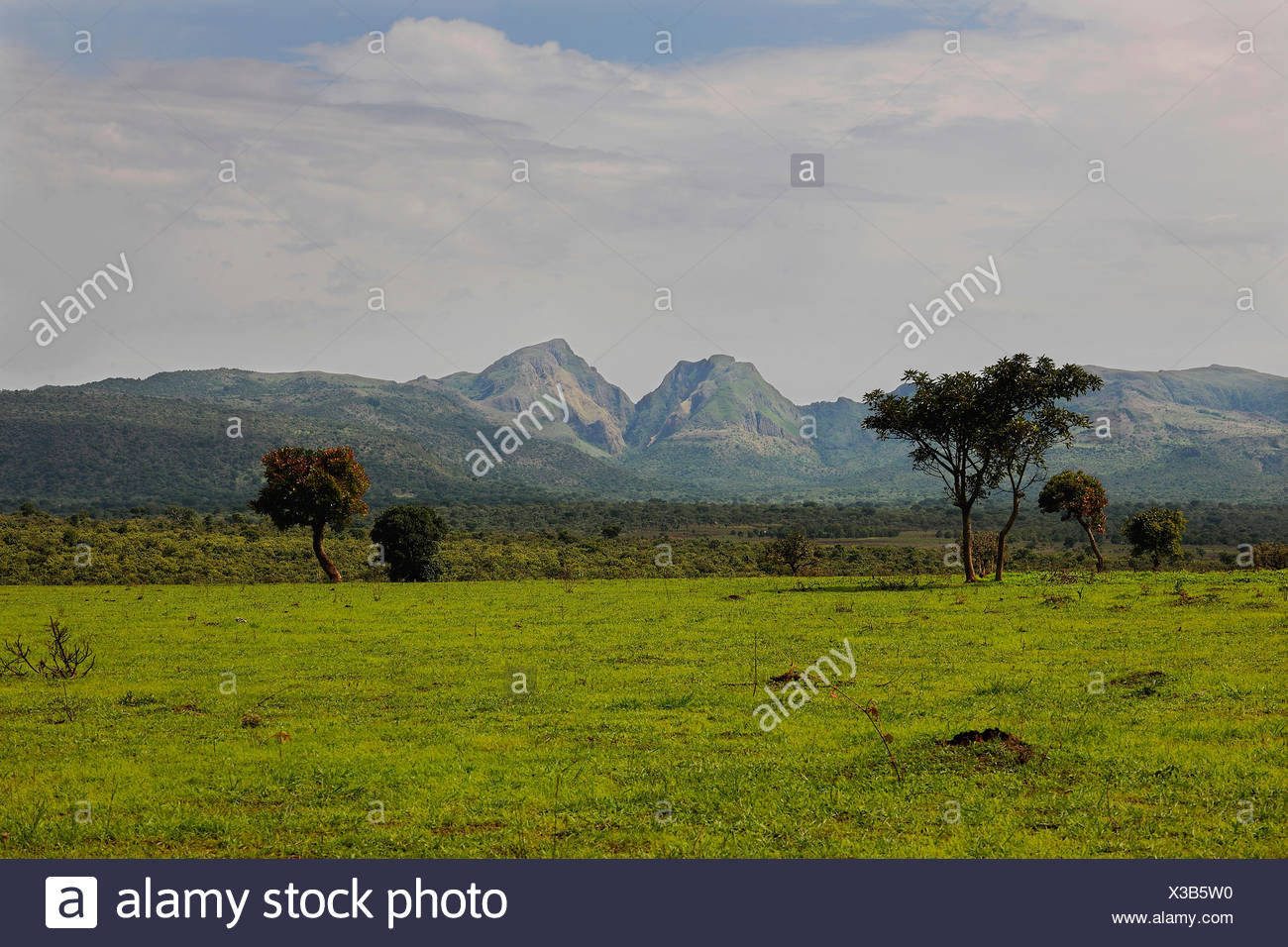 Cameroon High Resolution Stock Photography and Images - Alamy