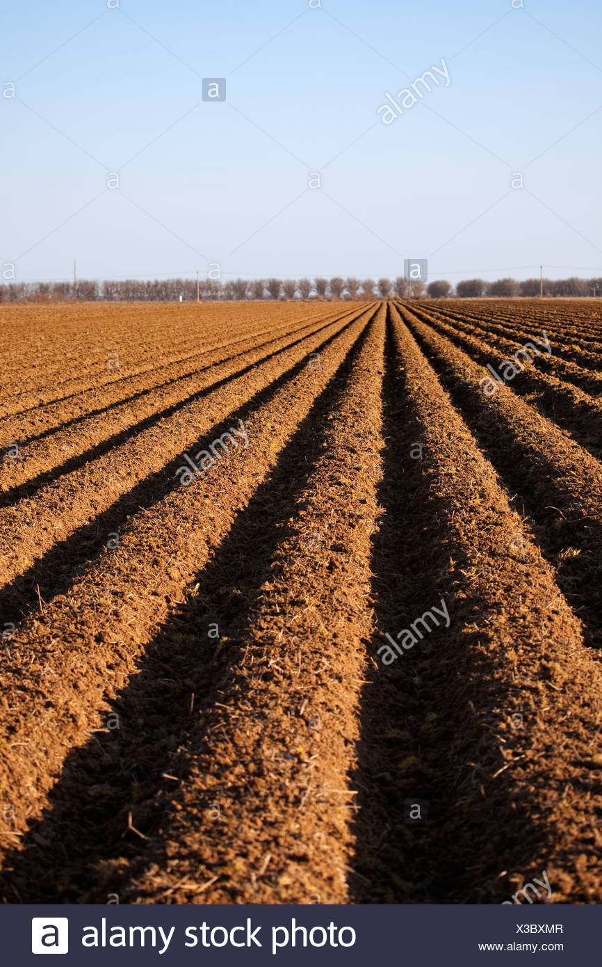 Ground Field High Resolution Stock Photography and Images - Alamy
