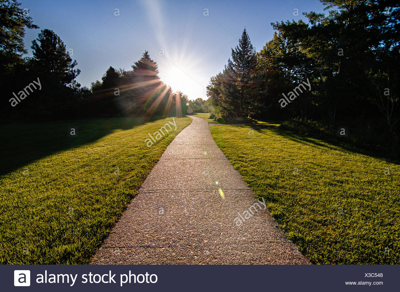 Bright Day Stock Photos & Bright Day Stock Images - Alamy