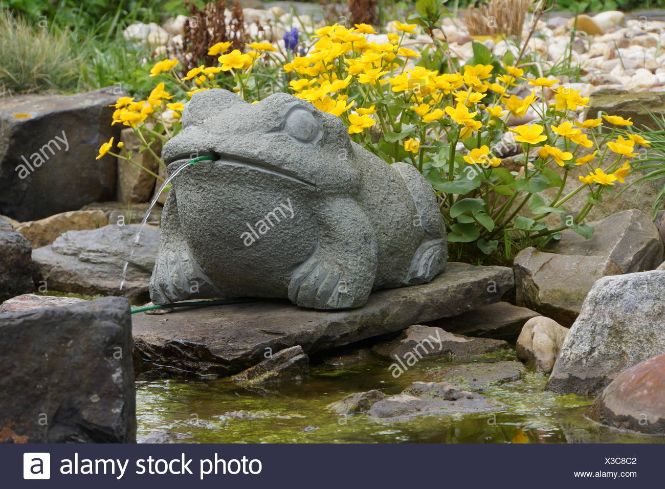 Water Spitting High Resolution Stock Photography and Images - Alamy