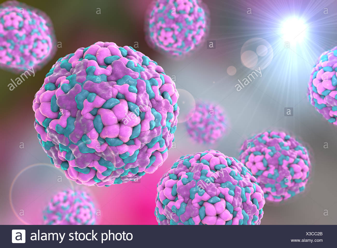 Picornavirus High Resolution Stock Photography and Images - Alamy