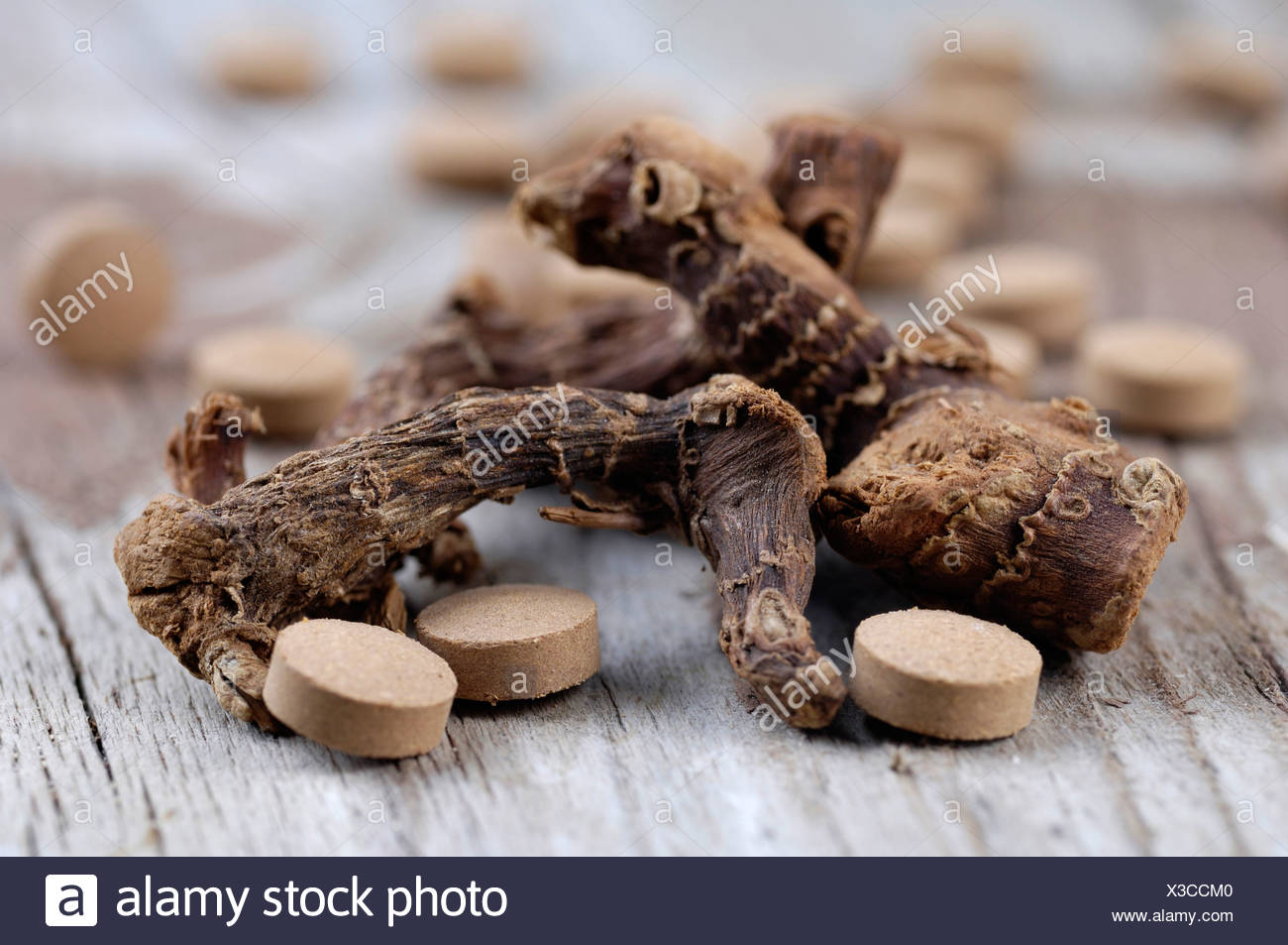 Galgant Stock Photos & Galgant Stock Images - Alamy