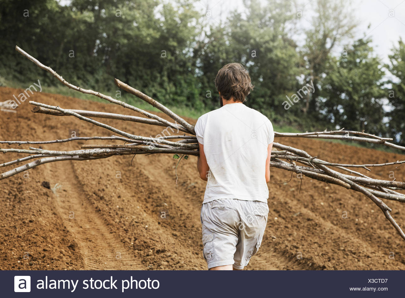Carrying Sticks High Resolution Stock Photography and Images - Alamy