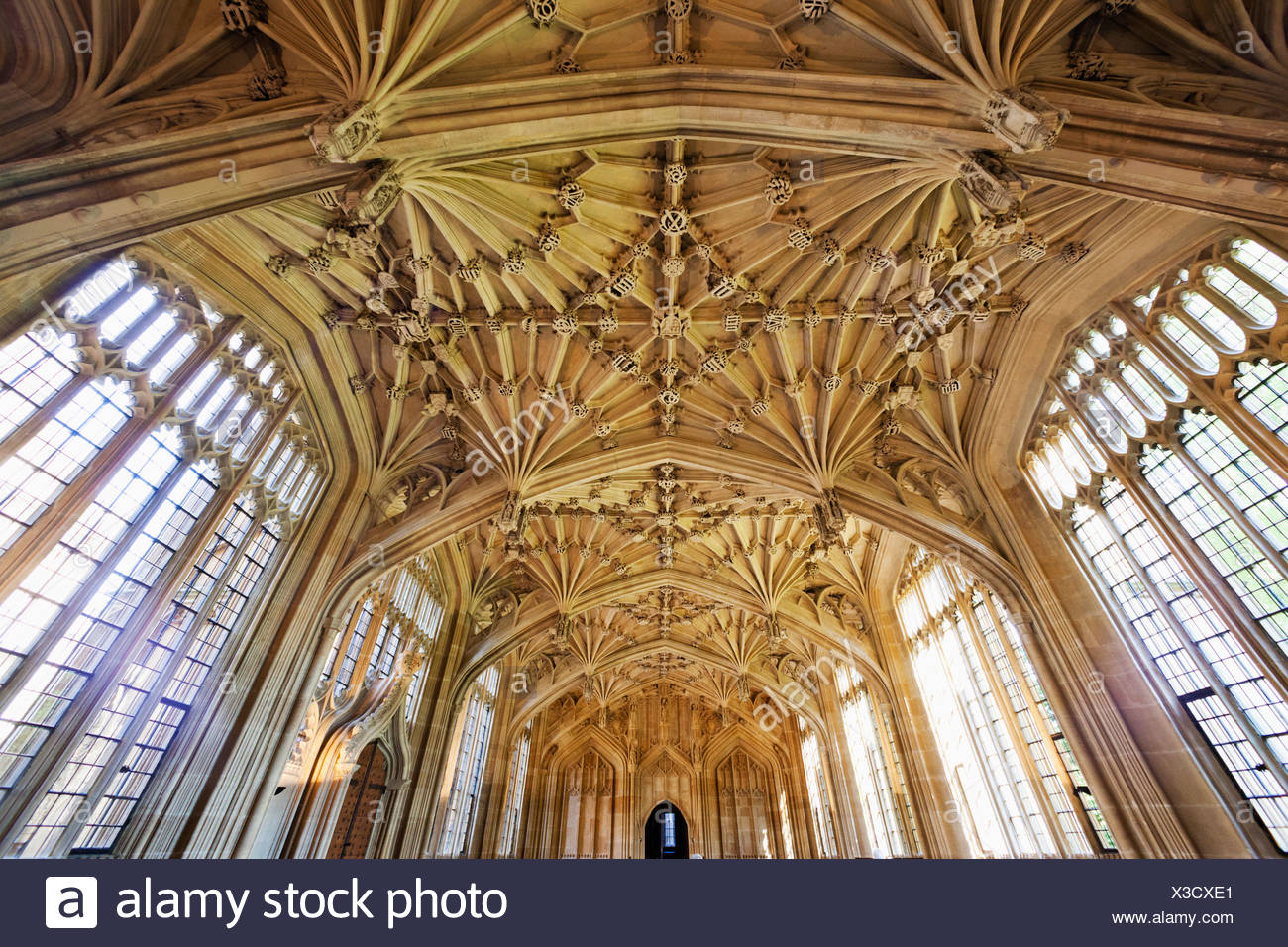 Bodleian Library Interior Stock Photos & Bodleian Library Interior ...