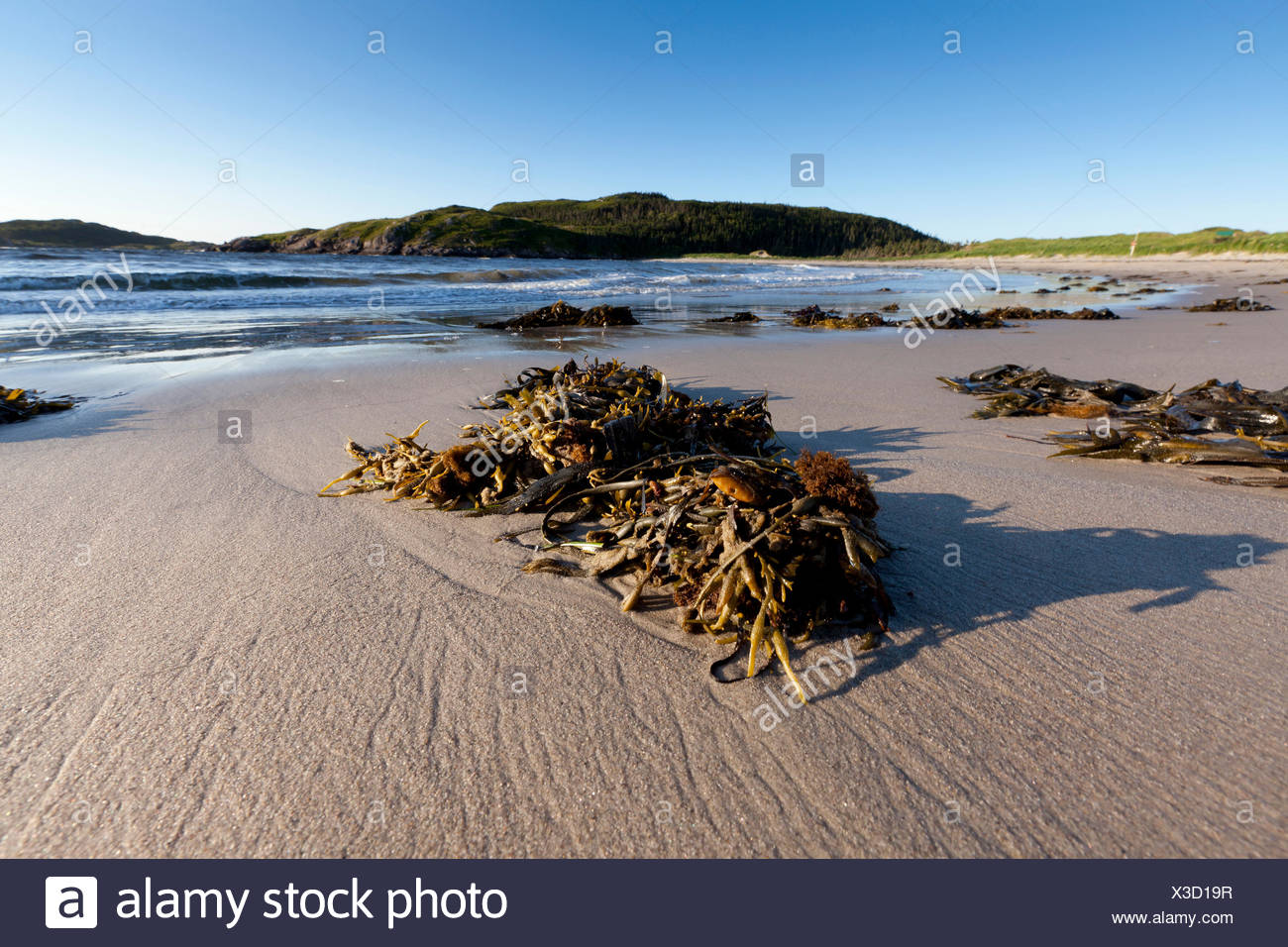 Newfoundland And Labrador High Resolution Stock Photography and Images ...