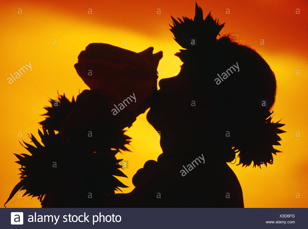 Hawaiian Man Blowing Conch Shell High Resolution Stock Photography and ...