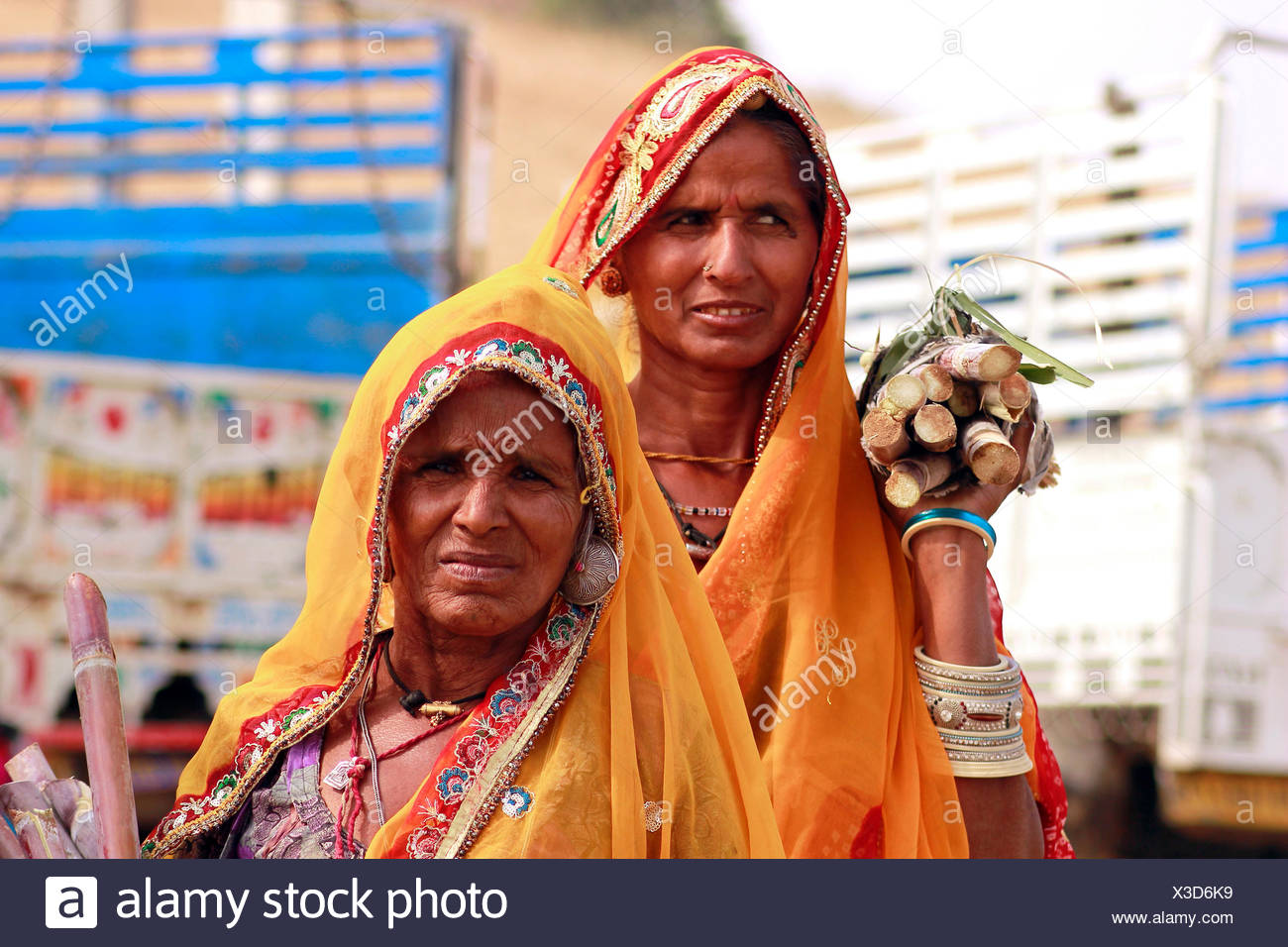 Costume Rajasthani Traditional Women Stock Photos & Costume Rajasthani ...