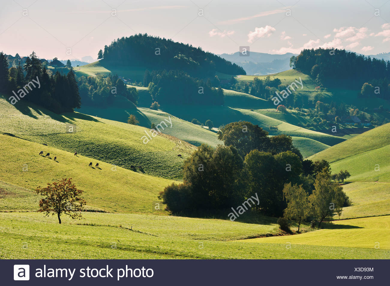 Hilly Countryside Stock Photos & Hilly Countryside Stock Images - Alamy