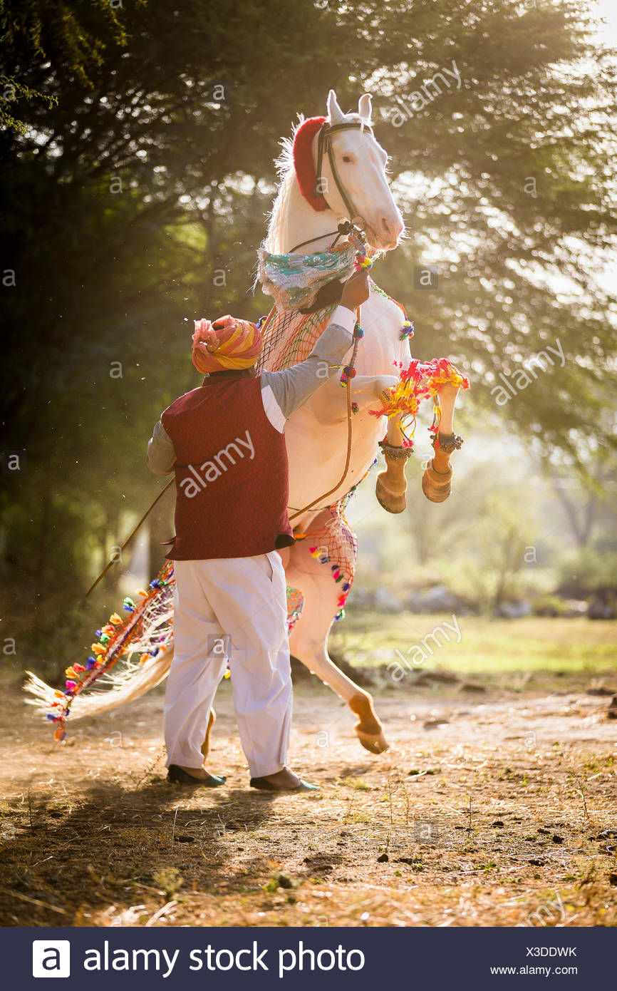 Courbette High Resolution Stock Photography and Images - Alamy