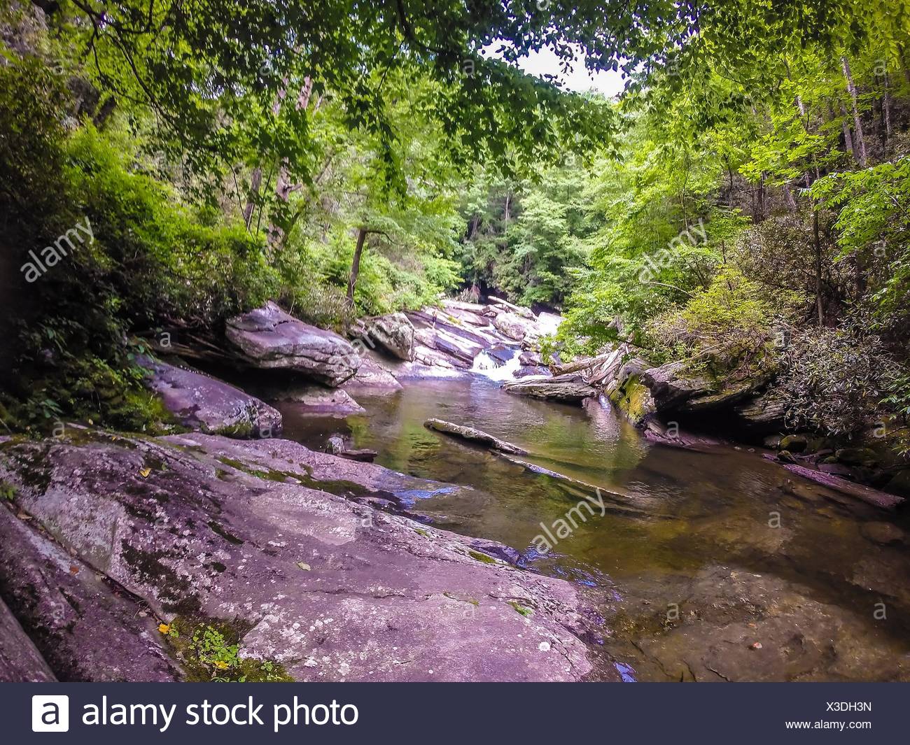Table Rock Mountains South Carolina High Resolution Stock Photography ...