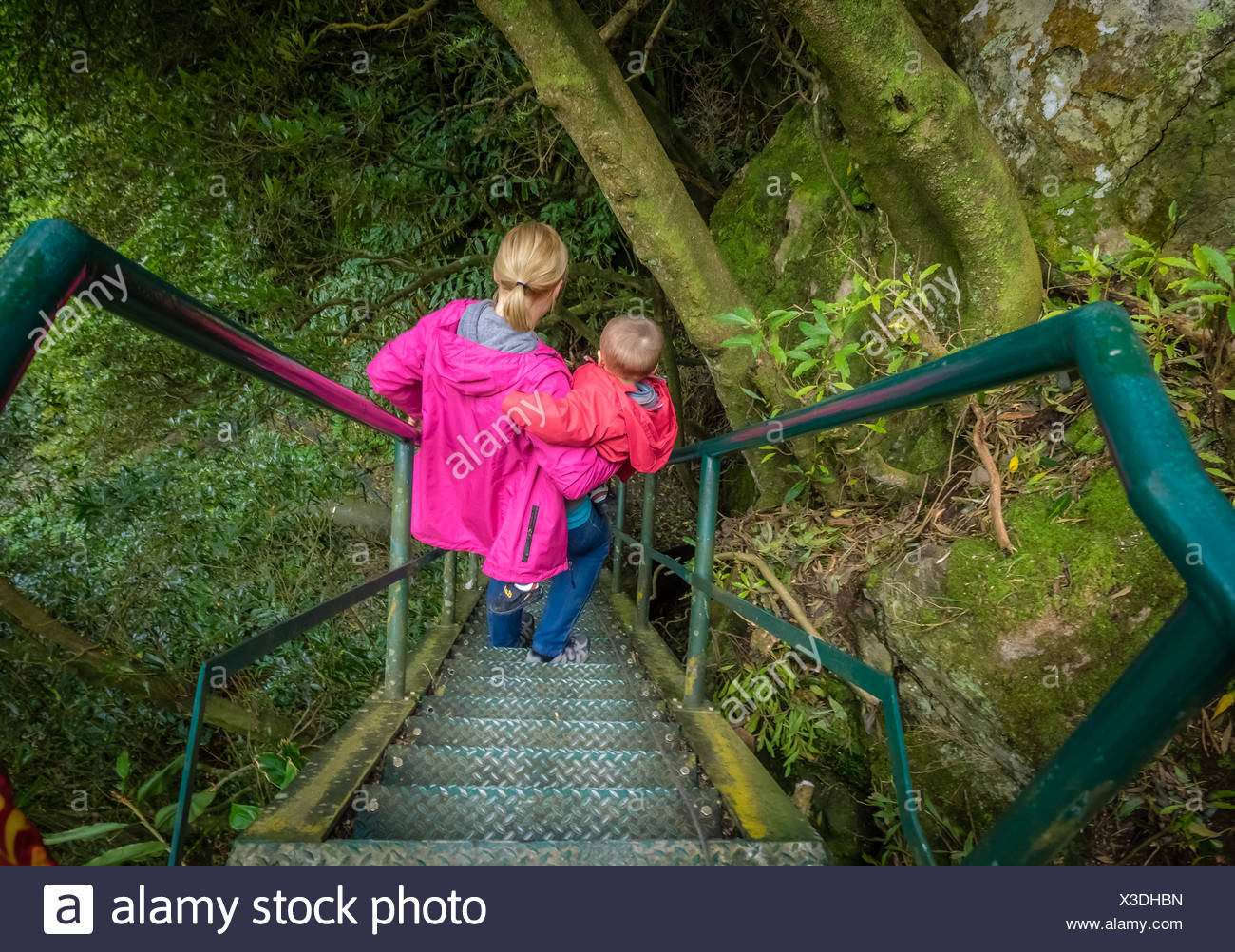 Climbing Stairs Stock Photos & Climbing Stairs Stock Images - Alamy
