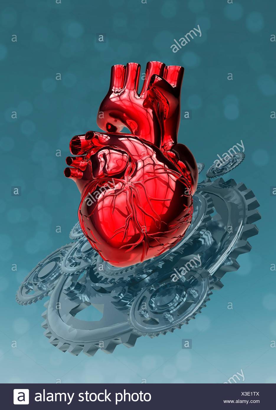 Human Heart With Metal Cogs High Resolution Stock Photography and ...