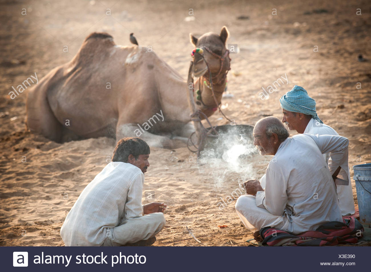 Camel Cigarettes High Resolution Stock Photography and Images - Alamy