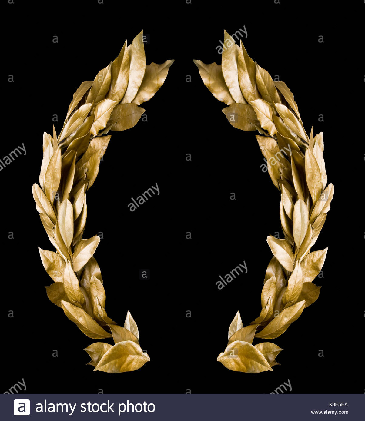 Laurel Crown High Resolution Stock Photography and Images - Alamy