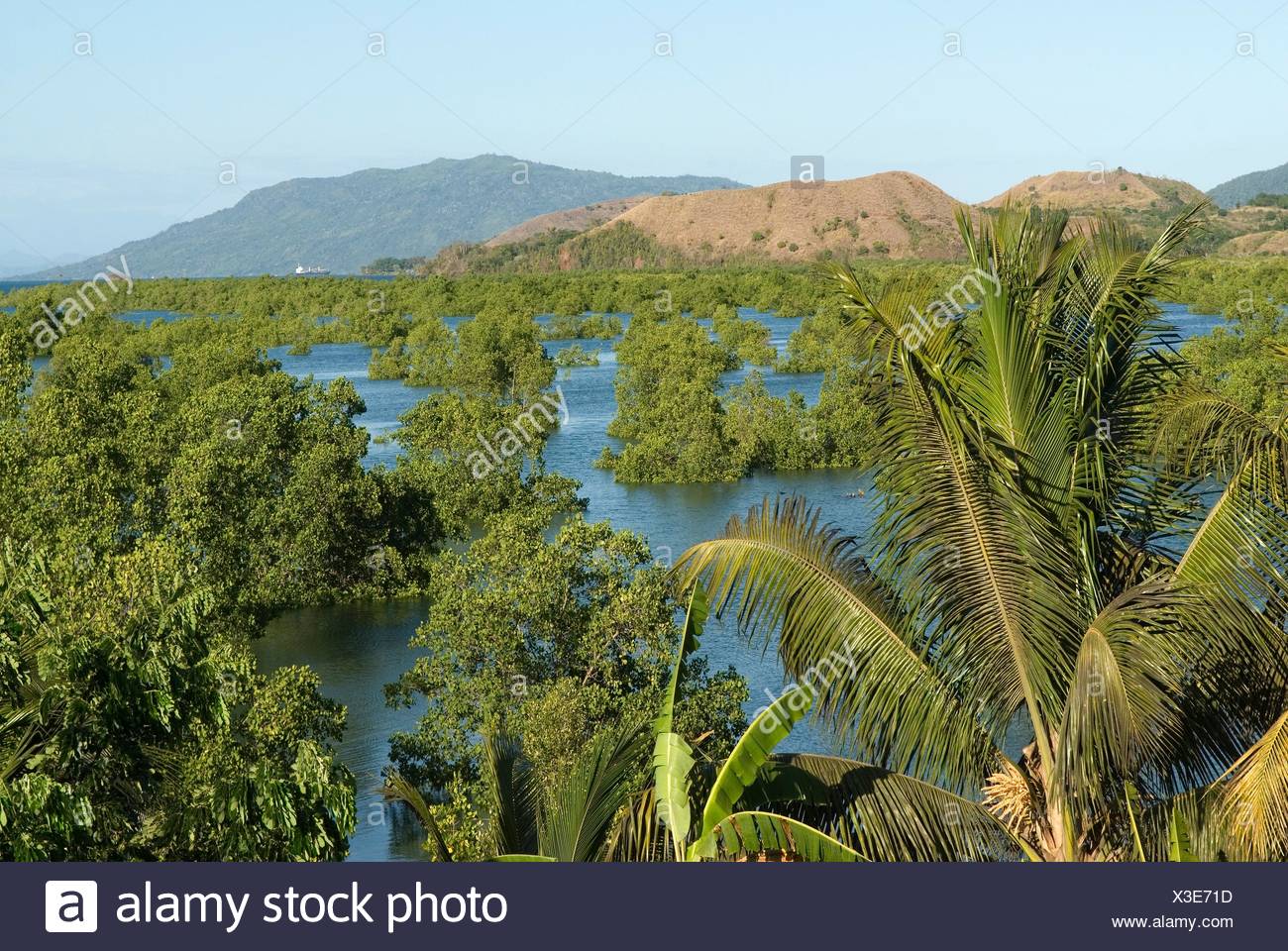 Andoany High Resolution Stock Photography and Images - Alamy