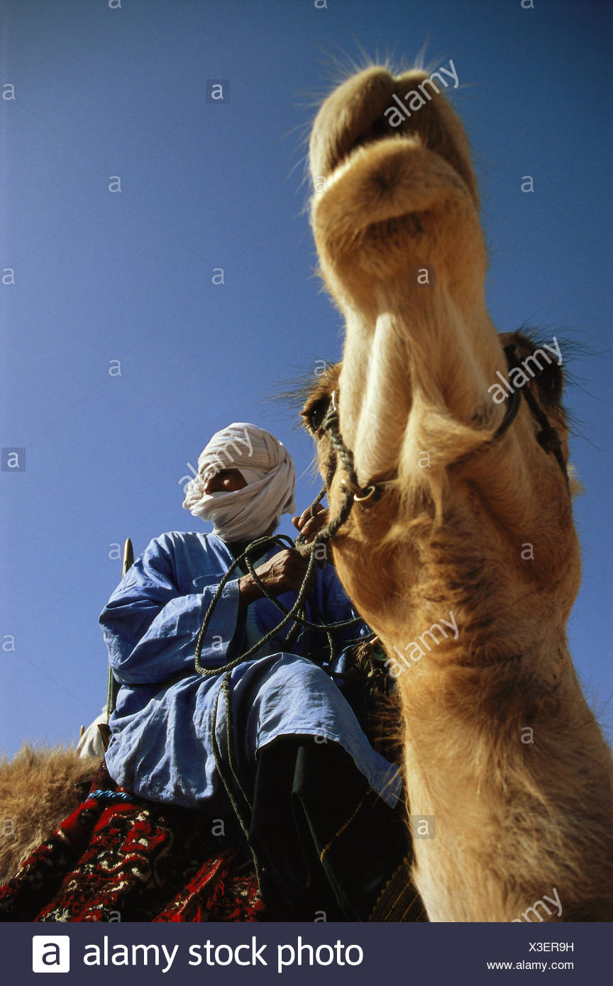 Ship Camel Model High Resolution Stock Photography and Images - Alamy