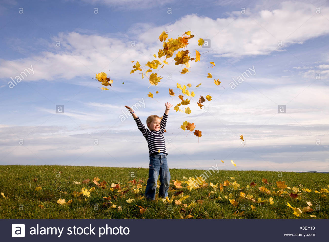 Throwing Leaves High Resolution Stock Photography and Images - Alamy
