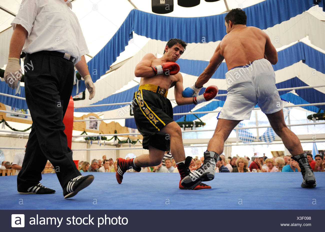 Boxing Stock Photos & Boxing Stock Images - Alamy
